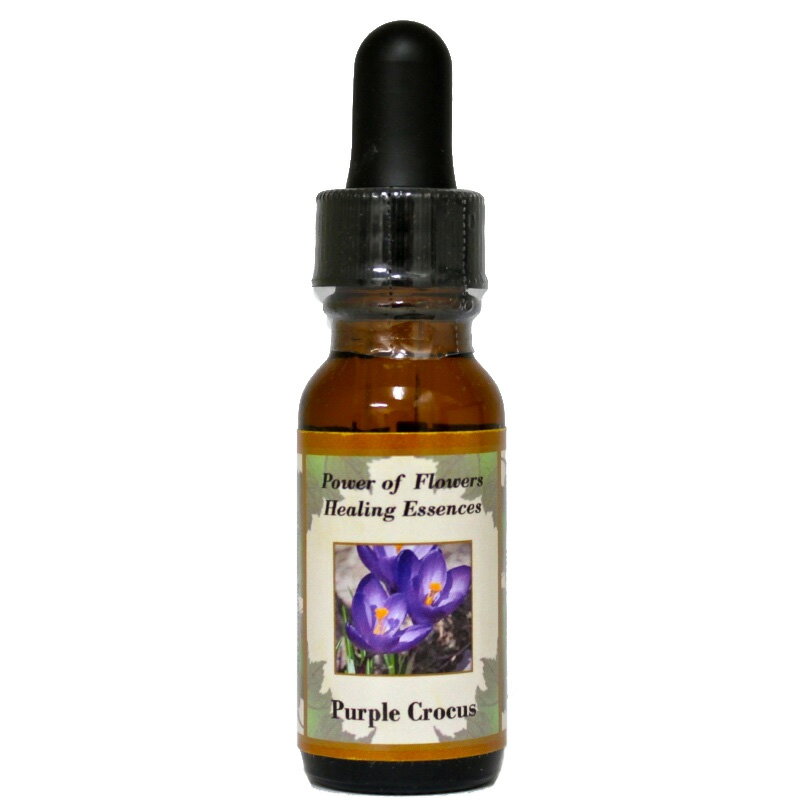 あらゆるかたちの痛みや悲しみ、そして神性に波長を合わせられるようにします。恥辱感、罪の意識、批判的姿勢に関する問題にとても役立つエッセンスで、その経験からくる緊張や制限を手放します。 喪失感や悲しみのエネルギーを感じ、受け入れ、委ねられるよ...