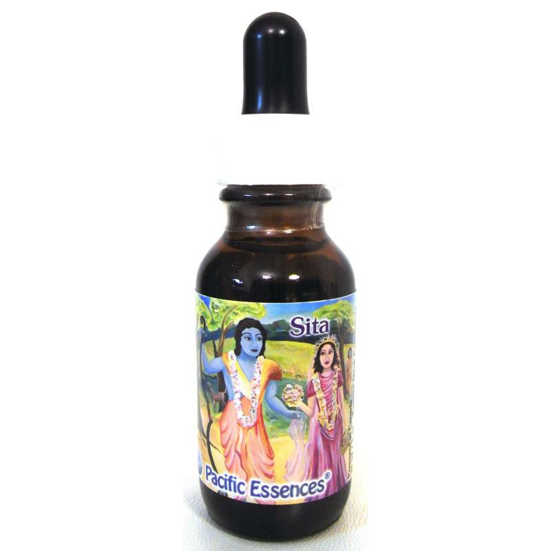 「シータ」は地球の娘であり、植物と動物たちの友だちです。人生に起こる数々の挑戦を受け入れる時、精神的な成長のために超えなければならないハードルに直面した時に。執着を捨て、冷静になり、あるがままに身をまかせる穏やかでやさしい気持ちを教えてくれ...