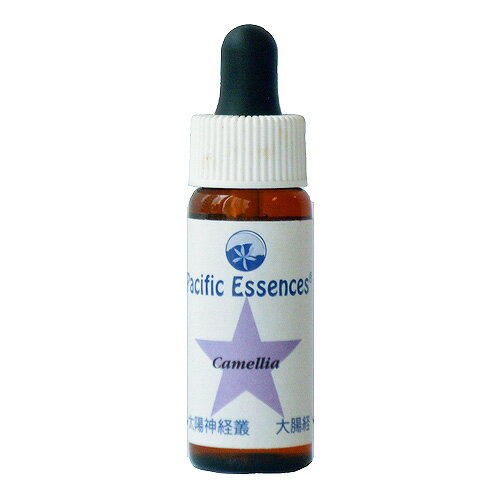 子供の頃、「どうしてできないの？」や「ダメ！」などの言葉で咎められたことはありましたか？カメリアのエッセンスは、そんな子供の頃に感じた罪悪感や羞恥心など、細胞レベルで蓄積された過去のネガティブな記憶を手放し、現在の体験をスムーズにして人生を...