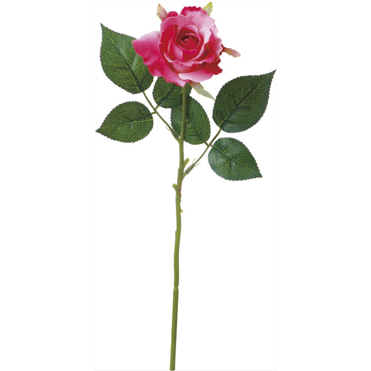 【商品仕様】 サイズ：全長40cm 花径8cm ※天然素材のため商品によって色・サイズ等が多少異なる場合がございます。 ※ブリザーブド商品は染料が漏れることがございます。 ※湿気や直射日光は避けてください。 【注意】 沖縄を含む離島へのお届...