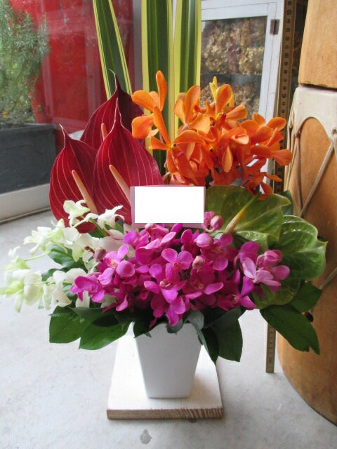 草楽（sora）オリジナルアレンジメント【プーケット】 商品サイズ 幅×高さ 約30cm×約40cm 花材 ラン、季節のお花 資材・ラッピング バスケット おすすめご用途 【フラワーギフト】【誕生日】【結婚祝い】【結婚記念日】【出産祝い】【...