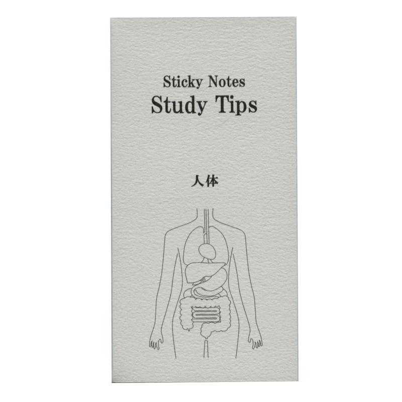 紙季彩々Sticky Note Study Tips ふせん【人体】学用 付箋 FS-SST003品番：FS-SST003