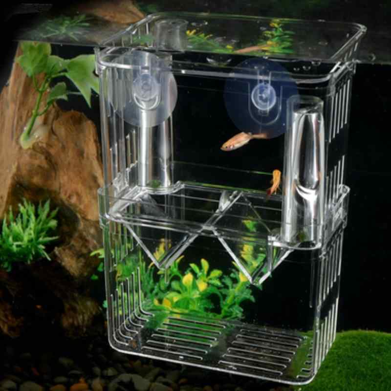 LIKENNY 繁殖隔離ボック 魚 産卵隔離ケース 透明 水槽用 産卵 孵化 保護 観察 稚魚飼育箱 魚分離 水族館アクセサリー1