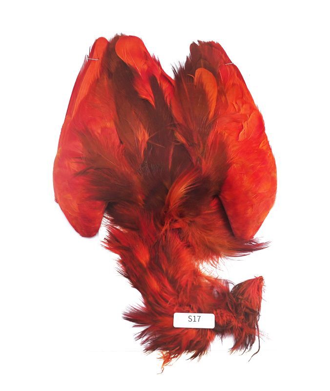 今では入手が困難になってしまったアイビスのSUBです。 インドポンドのダイドだと思われます。