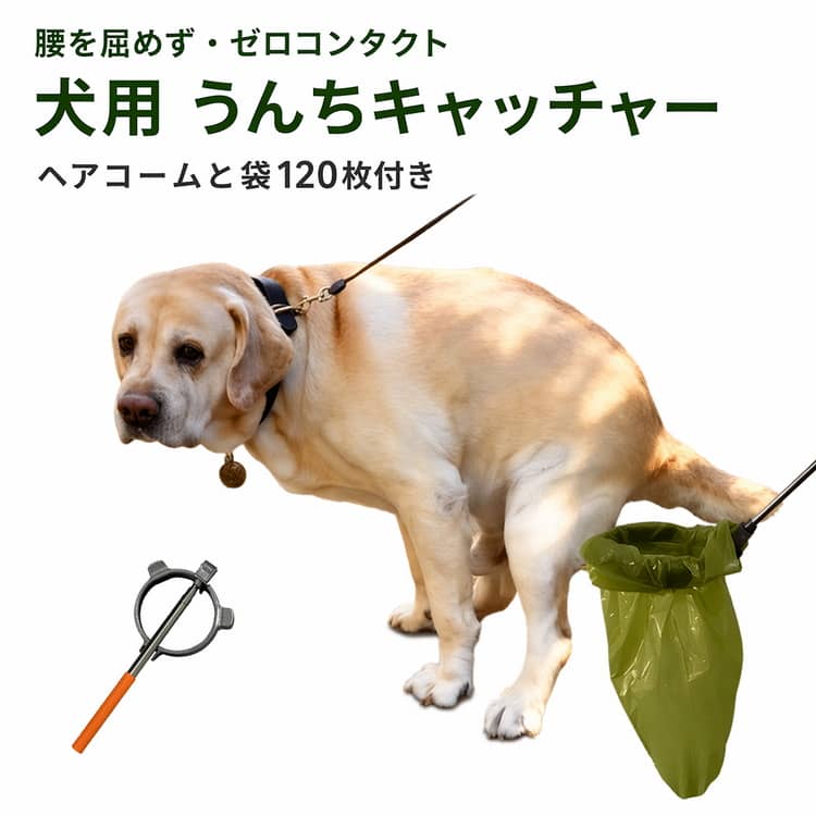 ・【持ち運び便利】軽くて持ち運び便利です。大好きなワンちゃんのお散歩はもっと楽しくなり、万が一の時に慌てず、手を汚さずきれいに片付けます。・【お手入れ簡単】使用方法はビニール袋をセットしてうんちを拾い、袋を結んでポイ捨てます。汚れても水で流...