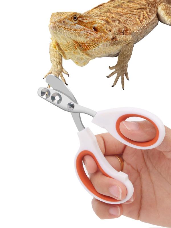 ヒゲドラゴンの爪切り1点。