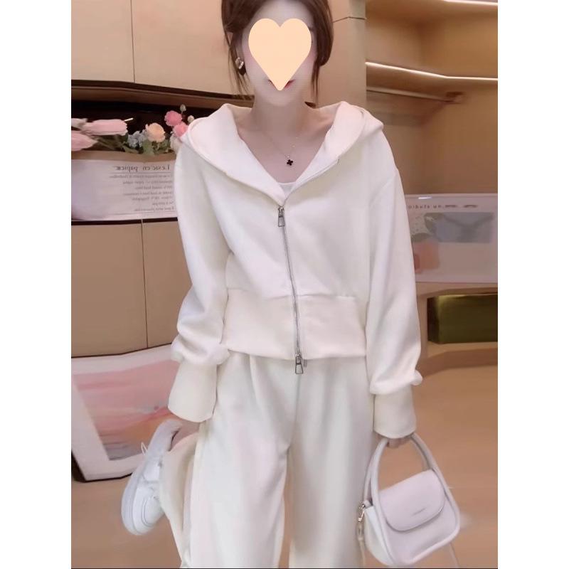 ・カテゴリ: 休闲套装・スタイル: 気質通勤・セットスタイル: 裤套装・対象性別: 女・パンツ丈: 長パン・袖丈: 長袖・袖型: フレアスリーブ・カラー展開: ピンク、杏色、ブラック、蛍光グリーン、グレー、ミルクキャラメル・サイズ展開: S...