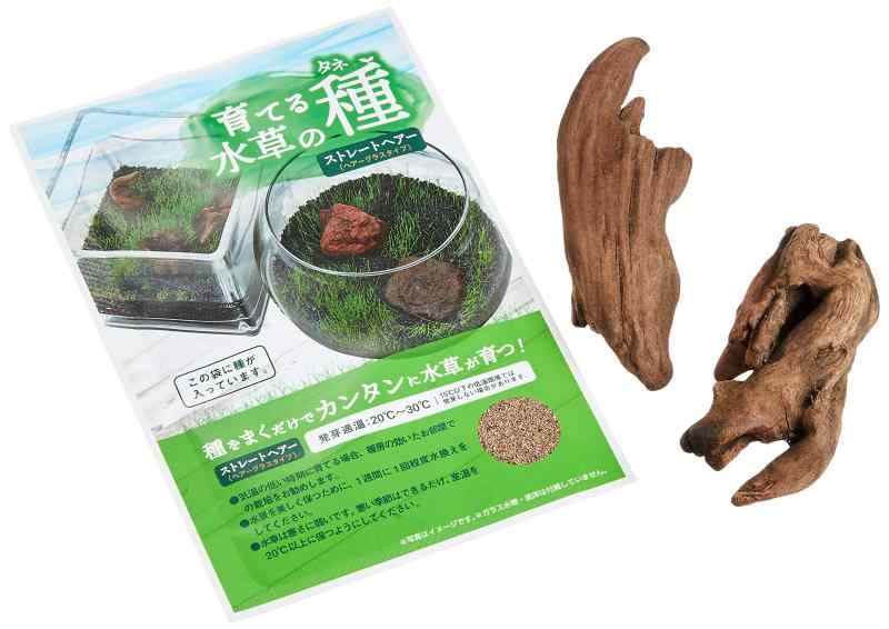 ニッソー 育てる水草の種 ストレートヘアー&amp;流木本体サイズ (幅X奥行X高さ) :13×5×19cm本体重量:0.05kg原産国:日本