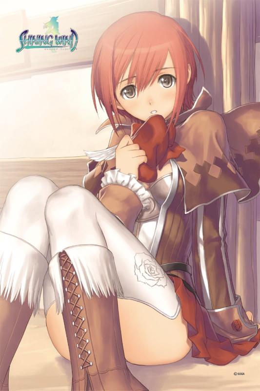 1000ピース ジグソーパズル シャイニング・ウィンド 紅蓮のアーティスト シーナ (50x75cm)本体サイズ :50×75cm(C)SEGA