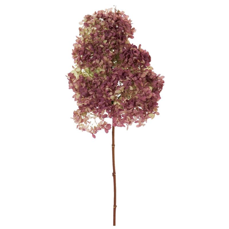 東京堂 ドライフラワー ミナヅキ 小 ナチュラル DE017176サイズ:L約75.0自然素材をそのままドライフラワーにしたものです。自然素材の為色や形が画像と多少異なることがあります。屋内装飾用のため、屋外でのご使用には適しておりません。