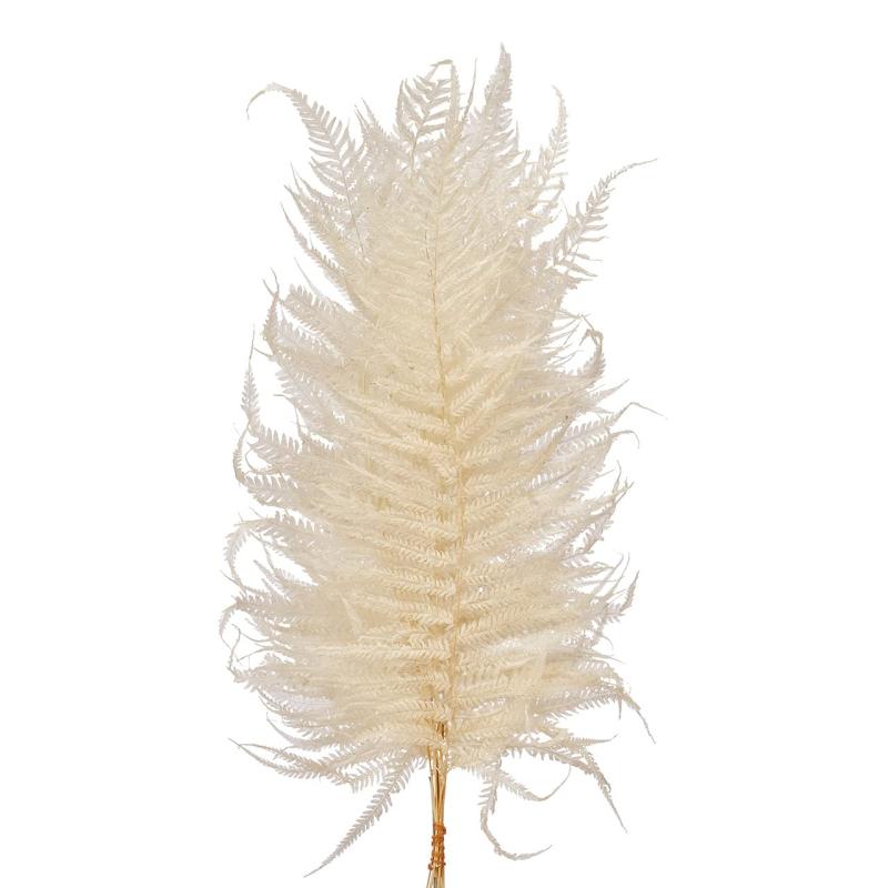 大地農園 ドライフラワー　 ナガシダ 約L40~49cm 1束10枚入 DO050340-011約L40~49cm