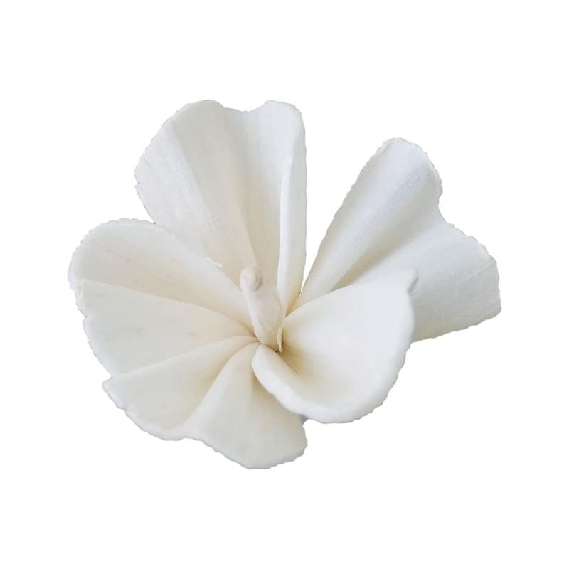 東京堂 ドライフラワー　 ソラ　ナデシコ 約花径4cm 1袋8輪入 YF138257-zzz約花径4cm