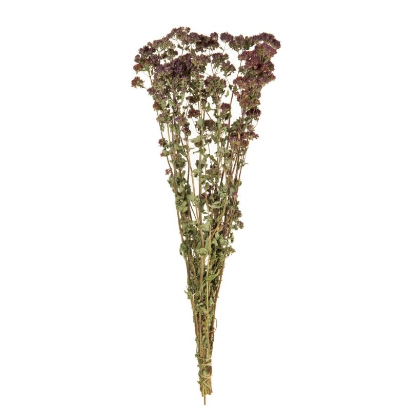 東京堂 ドライフラワー オレガノ (25g入り) FD003075サイズ:L約40.0cm素材:天然素材自然素材をドライ加工したものです。自然素材の為色や形が画像と多少異なることがあります。屋内装飾用のため、屋外でのご使用には適しておりません。