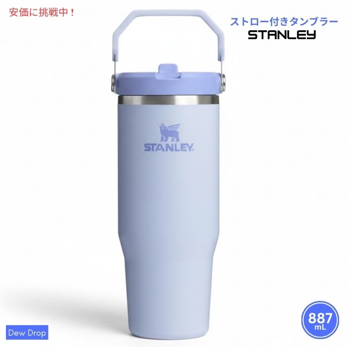 30オンスのストロー付きタンブラー。水やスムージー、アイスコーヒーに便利で、忙しい一日もしっかり水分補給できます。 真空断熱＆18/8ステンレスで、冷たさを長時間キープ。耐久性が高く、BPAフリー。 漏れにくいアイスフローストローで快適に飲...