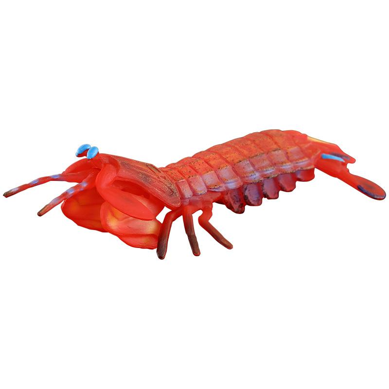 リアル 虫 おもちゃ 子供 キッズ 海洋生物 生き物 甲殻類 模型 玩具 フィギュア コレクション ディスプレイ 小物 シャコ いたずら どっきり サプライズ 認識 教材 幼児教育 赤