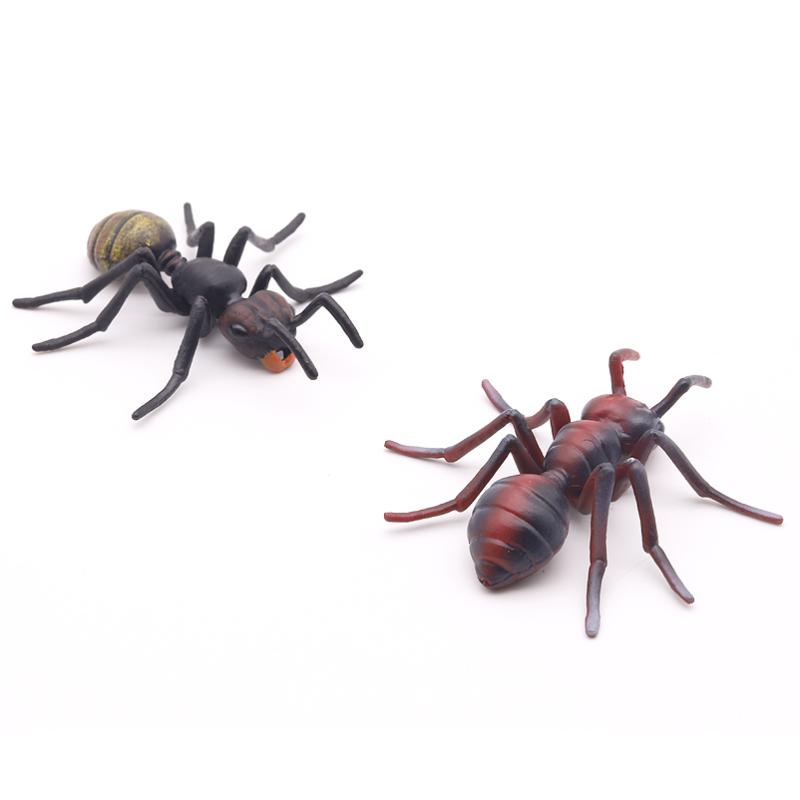 リアル 虫 おもちゃ 子供 キッズ 昆虫 生き物 模型 玩具 フィギュア コレクション ディスプレイ 小物 アリ いたずら どっきり サプライズ 認識 教材 幼児教育 ギフト