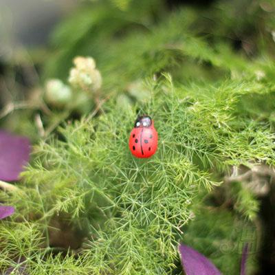 ガーデンオーナメント 置物 ミニチュア 雑貨 装飾 インテリア ホームデコレーション 昆虫 オブジェ 造園 庭 シール付 セット かわいい てんとう虫 赤