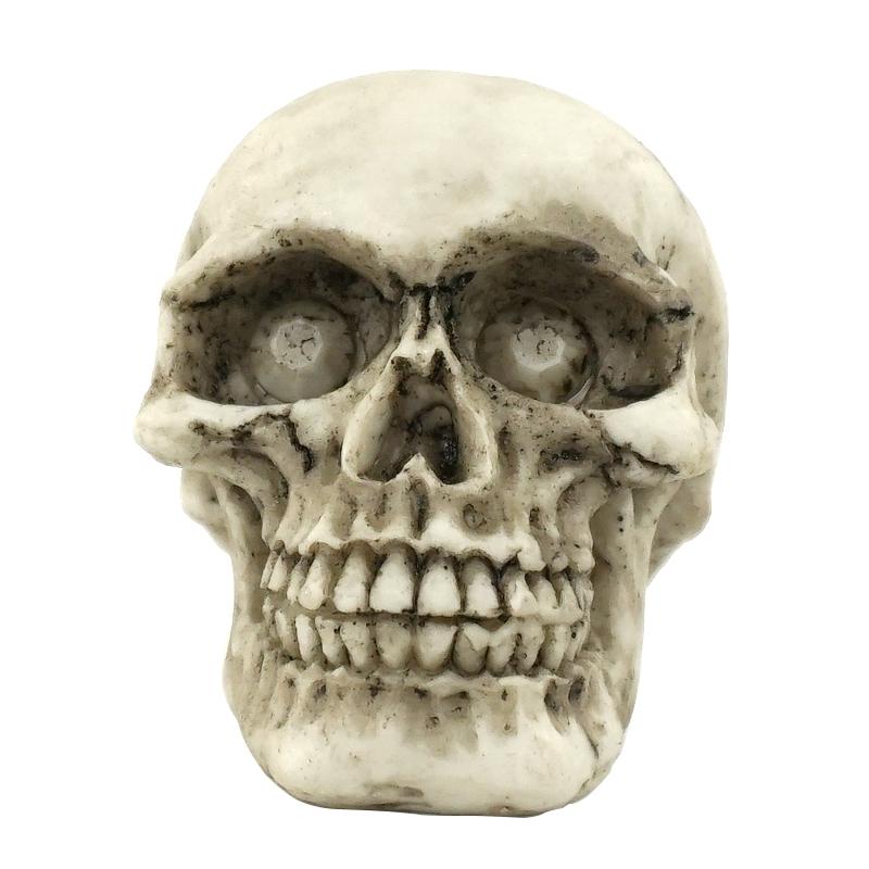 インテリア 雑貨 ドクロ 飾り かっこいい オーナメント 置物 樹脂 リビング 卓上 水槽 ハロウィン パーティー 撮影 小道具 ホラー