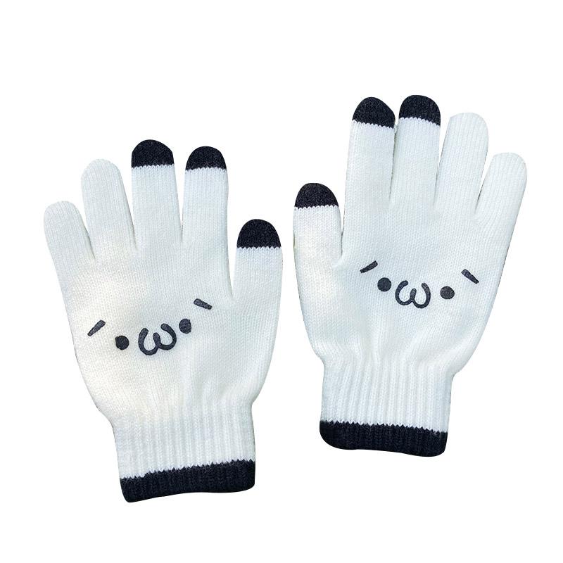 手袋 レディース スマホ対応 冬 暖かい ニット 裏起毛 防寒 保温 5本指 フリーサイズ ユニセックス シンプル かわいい 通学 自転車 黒 白