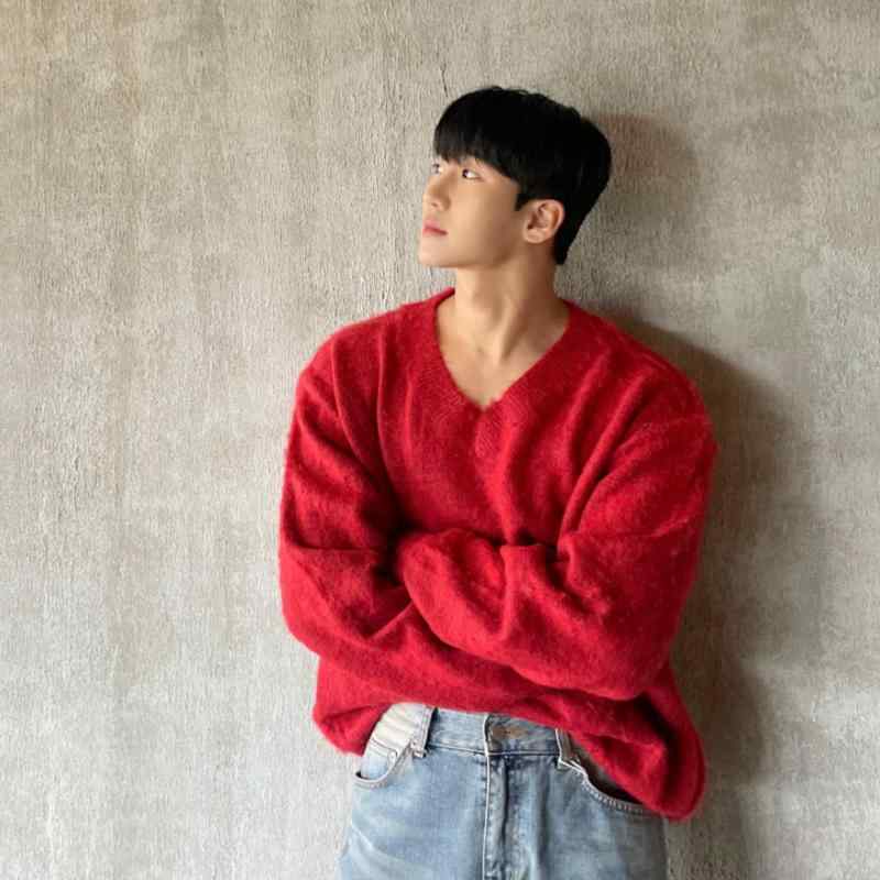 暖かい セーター メンズ 韓国 秋冬 カジュアル vネック 赤 ゆったり 長袖 普段使い おしゃれ おでかけ シンプル トップス
