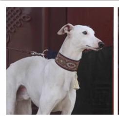 首輪 犬 エスニック 民族風 シープスキン レザー 大きめ 小さめ グレイハウンド イタグレ 散歩 お出かけ 外出 ペット用品 刺繡 おしゃれ