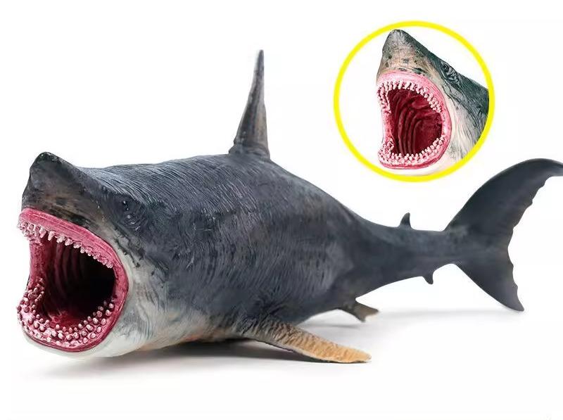 対象性別：ユニセックス