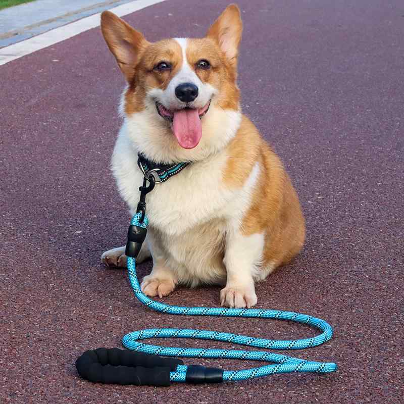 素材: ナイロン【サイズ参考】S：約2-6.5kg/首周り20-30cmM：約6-16kg/首周り26-40cmL：約15-45kg/首周り38-64cm