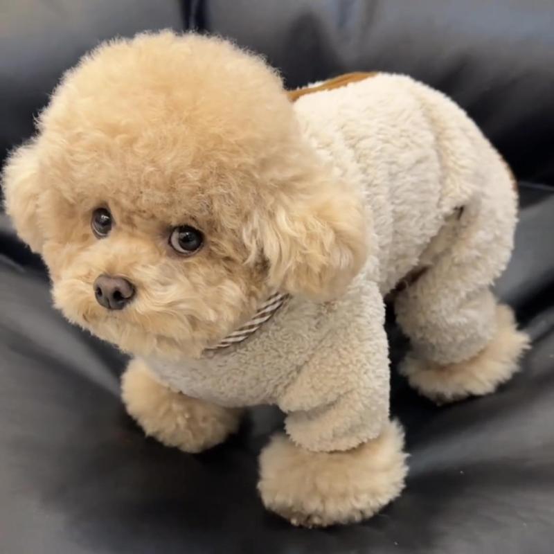 ・サイズ展開: XS, S, M, L, XL・カラー展開: カーキ, アプリコット