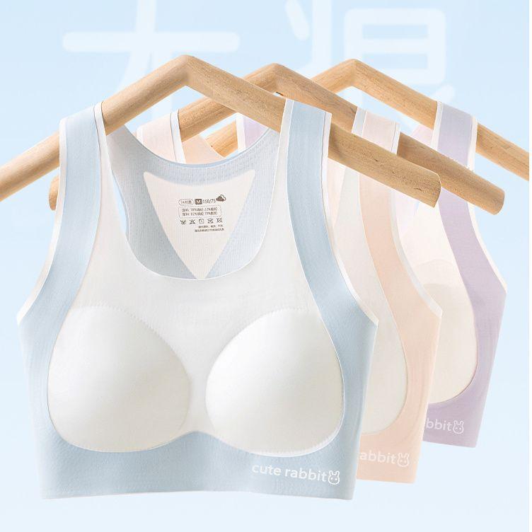 ・素材: 混紡・サイズ目安: M（32.5〜40kg）、L（40〜47.5kg）、XL（47.5〜55kg）、2XL（55〜62.5kg）、3XL（62.5〜70kg）・カラー展開: ピンク、グリーン、ブルー、パープル