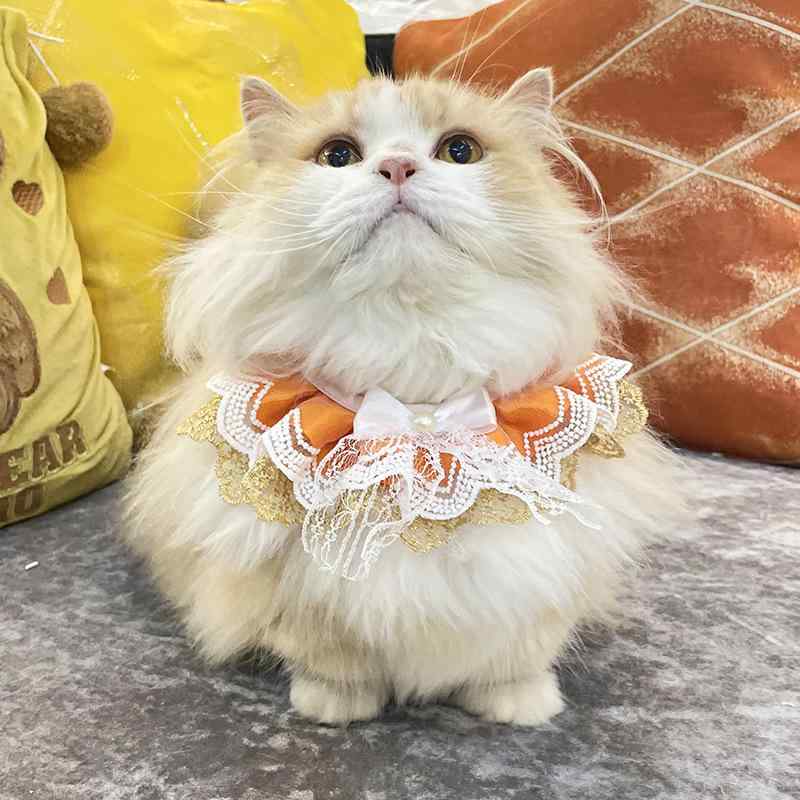 ・柄: チェック・カラー展開: ブラック、ブルー、オレンジ、ピンク・素材: オーガンジー・対象: 猫・サイズ展開: XS 15-20cm、S 20-25cm、M 25-30cm・スタイル: ブリティッシュ