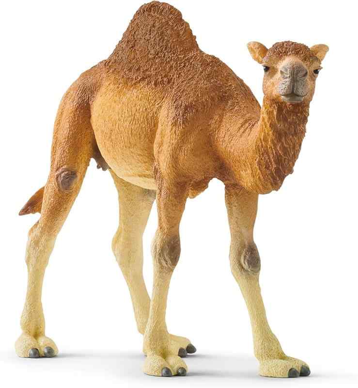 シュライヒ ワイルドライフ ヒトコブラクダ フィギュア 14832シュライヒの細部まで本物に近づけることにこだわり、手作業で色づけしたフィギュアを通じて価値ある遊びを体験し、自然について楽しく学ぶことができます。