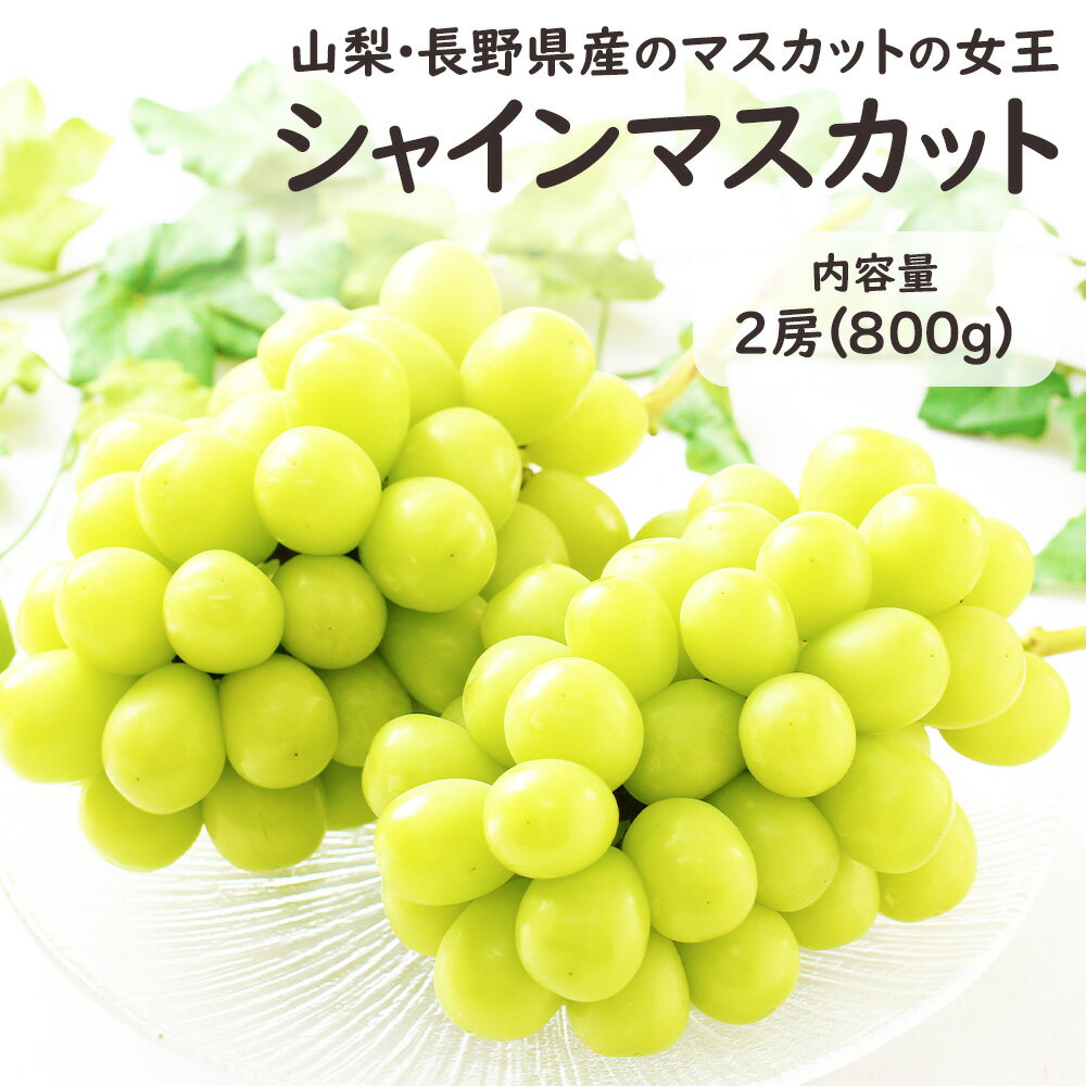 商品 山梨県産シャインマスカット 定価 7,980円 容量 2房（約800g） 発送時期 こちらの商品は7月中旬頃より順次発送をいたします。 入荷次第、市場より直送させていただきます。 ※農作物ですので、お届けのご希望を承ることが出来かねま...