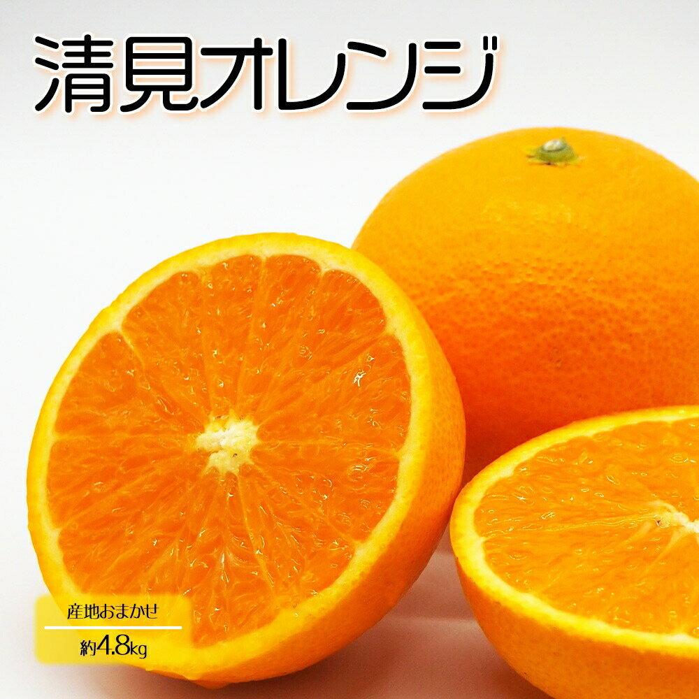 商品 清見オレンジ 産地おまかせ（和歌山など） 容量 ・1ケース約4.8kg ※記載の内容量（kg）は果実の大きさや水分量など自然の個体差により、実際の重量には多少の前後が生じる場合がございます。 発送時期 こちらの商品は2月上旬頃より順次...