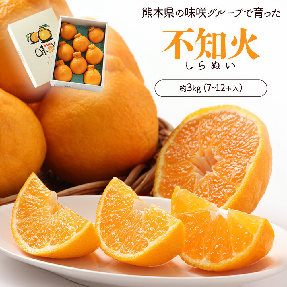 商品 熊本県産 不知火 （しらぬい） 容量 約3kg(7-12玉) ※記載の内容量（kg）は産地規格に基づいた目安です。箱サイズにより設定されており、果実の大きさや水分量など自然の個体差により、実際の重量には多少の前後が生じる場合がございま...