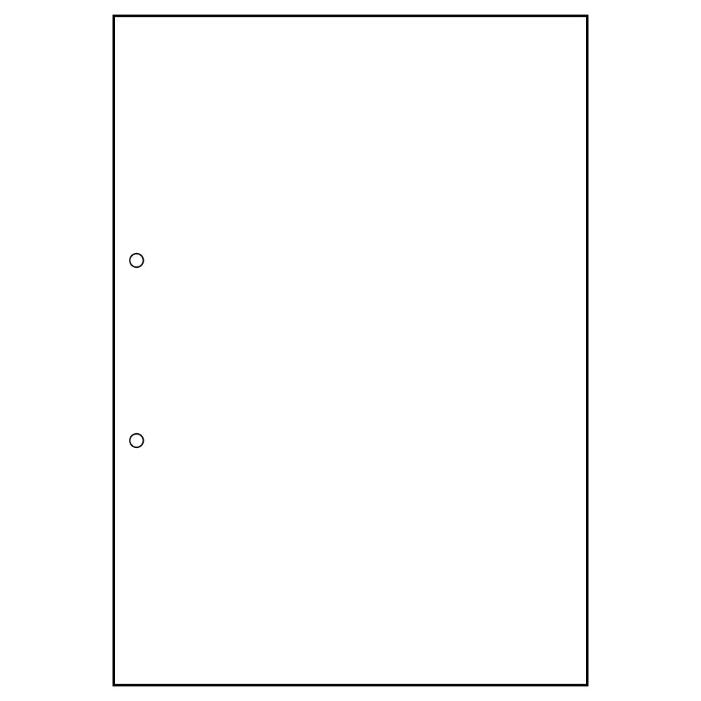 サイズ:A4タテ(210×297mm)紙厚:約0.08mmファイル穴:2穴とじ穴間隔:80mmFSC(R)認証材を使用したプリンタを選ばないマルチタイプの汎用帳票用紙です。無地タイプなので使いやすい設計で帳票を印刷できます。ファイル穴は紙詰...