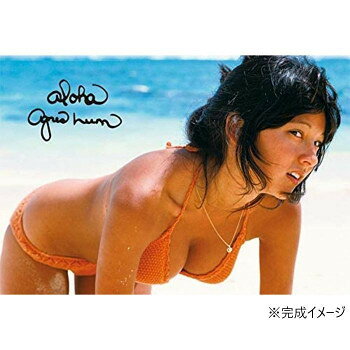 多くの雑誌のグラビアを飾ったアグネス・ラムのジグソーパズルです。サイズ：完成サイズ:26×38cm個装サイズ：18×15×6cm重量：個装重量：300g仕様：ピース数:300生産国：日本