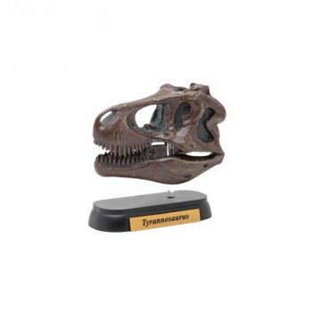 ＜＜ご注意下さい＞＞こちらの商品はメーカーよりお客様へ直接お届けの品になります。 当店での在庫はしておりません。在庫の有無はメーカー在庫のみになりますので、急な欠品や急に廃盤になる可能性がございます。こちらの商品の配送について○北海道・沖縄...