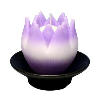 ＜＜ご注意下さい＞＞こちらの商品はメーカーよりお客様へ直接お届けの品になります。 当店での在庫はしておりません。在庫の有無はメーカー在庫のみになりますので、急な欠品や急に廃盤になる可能性がございます。こちらの商品の配送について○北海道・沖縄...