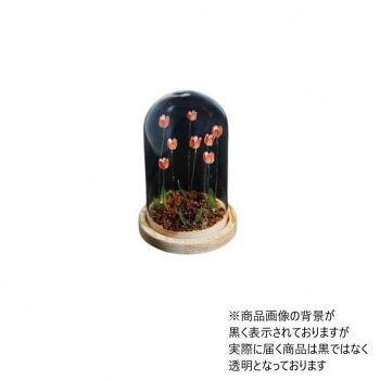 ＜＜ご注意下さい＞＞こちらの商品はメーカーよりお客様へ直接お届けの品になります。 当店での在庫はしておりません。在庫の有無はメーカー在庫のみになりますので、急な欠品や急に廃盤になる可能性がございます。こちらの商品の配送について○北海道・沖縄...