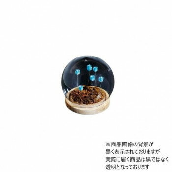 ＜＜ご注意下さい＞＞こちらの商品はメーカーよりお客様へ直接お届けの品になります。 当店での在庫はしておりません。在庫の有無はメーカー在庫のみになりますので、急な欠品や急に廃盤になる可能性がございます。こちらの商品の配送について○北海道・沖縄...