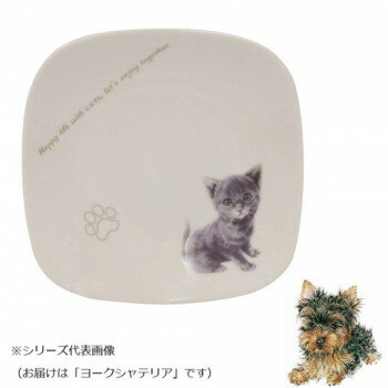 ＜＜ご注意下さい＞＞こちらの商品はメーカーよりお客様へ直接お届けの品になります。 当店での在庫はしておりません。在庫の有無はメーカー在庫のみになりますので、急な欠品や急に廃盤になる可能性がございます。こちらの商品の配送について○北海道・沖縄...