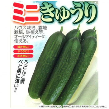 ＜＜ご注意下さい＞＞こちらの商品はメーカーよりお客様へ直接お届けの品になります。 当店での在庫はしておりません。在庫の有無はメーカー在庫のみになりますので、急な欠品や急に廃盤になる可能性がございます。こちらの商品の配送について○北海道・沖縄...