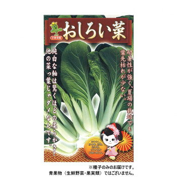 ＜＜ご注意下さい＞＞こちらの商品はメーカーよりお客様へ直接お届けの品になります。 当店での在庫はしておりません。在庫の有無はメーカー在庫のみになりますので、急な欠品や急に廃盤になる可能性がございます。こちらの商品の配送について○北海道・沖縄...