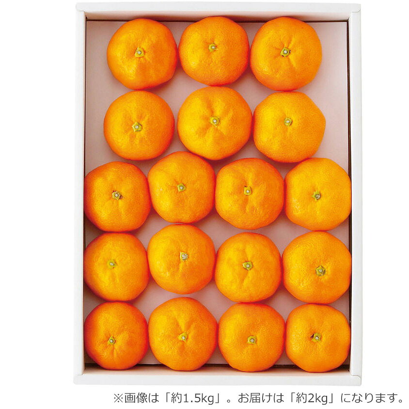 こちらの商品の配送について★北海道・沖縄・離島は配送不可となります。こちらの商品の包装(ラッピング)・のしについて○商品は御中元用の簡易ラッピング（ビニール包装）にてお届けいたします。（★こちらの商品は別途、通常のラッピングはお受けできませ...