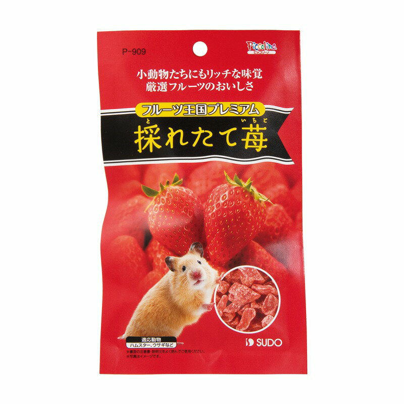 厳選したフルーツのおいしさ♪・厳選したイチゴを小動物が食べやすい大きさにダイスカットし、乾燥加工したリッチな味覚のおやつです。・便利なチャック付き【原材料(成分)】イチゴ、砂糖／着色料、亜硫酸塩【保証成分】粗タンパク質0.4％以上、粗脂肪0...