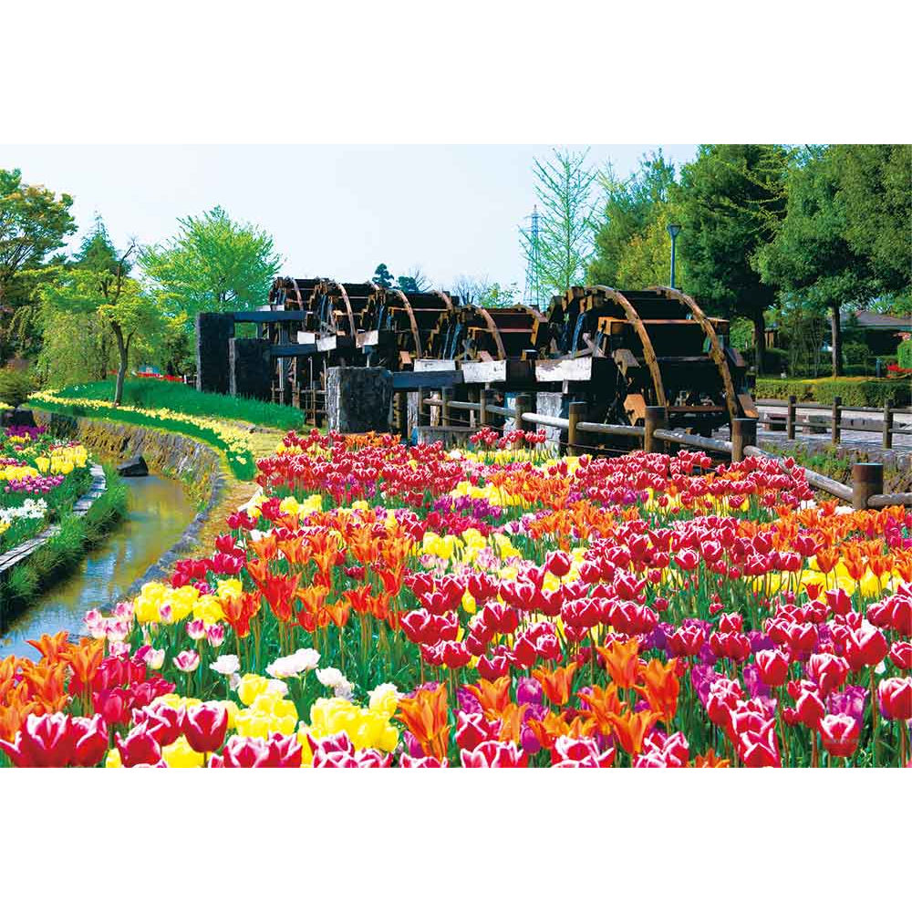 富山県のチューリップをテーマにしたジグソーパズル【ピース数】108P適合パネル：3【完成サイズ】26×38cmパッケージサイズ：170×145×50mm