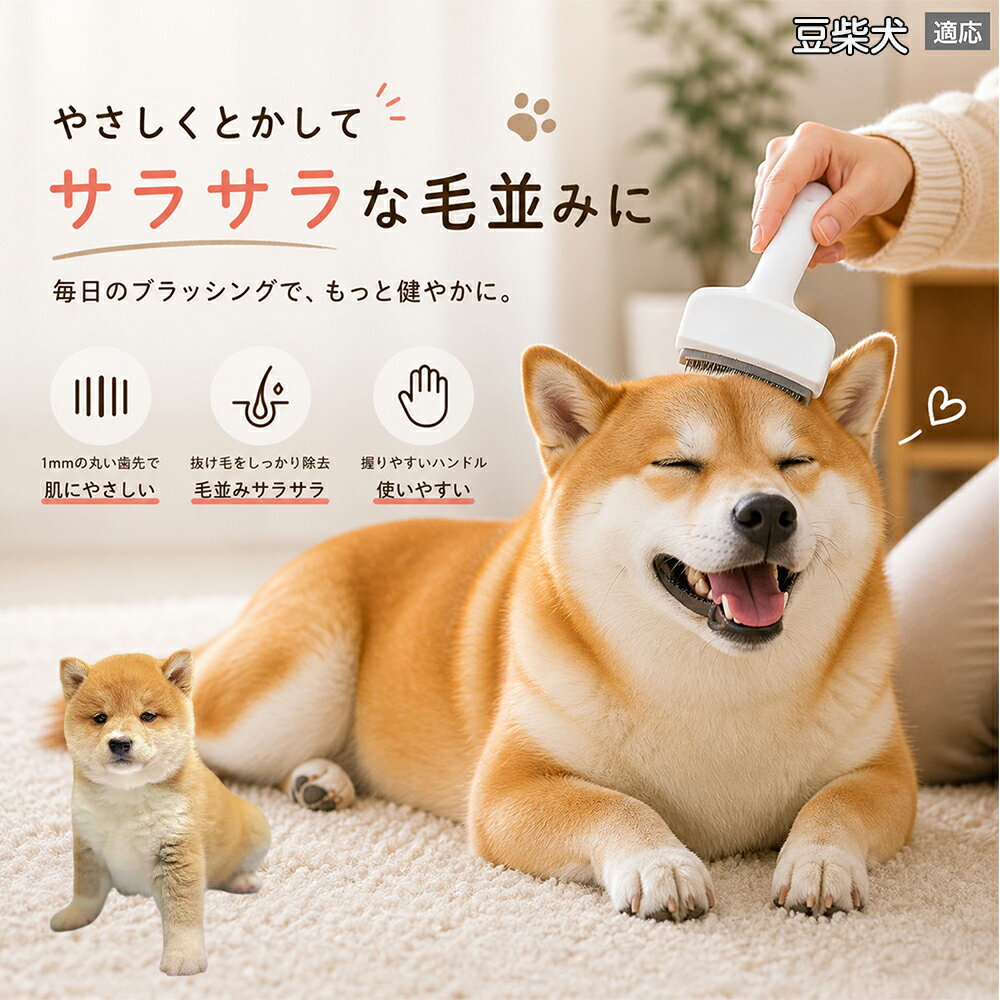 メンテナンスのしやすさにこだわりました。ブラシ部分に溜まった毛はサッと取り除け、水洗いで微細なホコリまでリセット可能。シンプルな構造ながら耐久性が高く、多頭飼いのご家庭でも長くご愛用いただける高品質なグルーミングツールです。 商品詳細 商品...