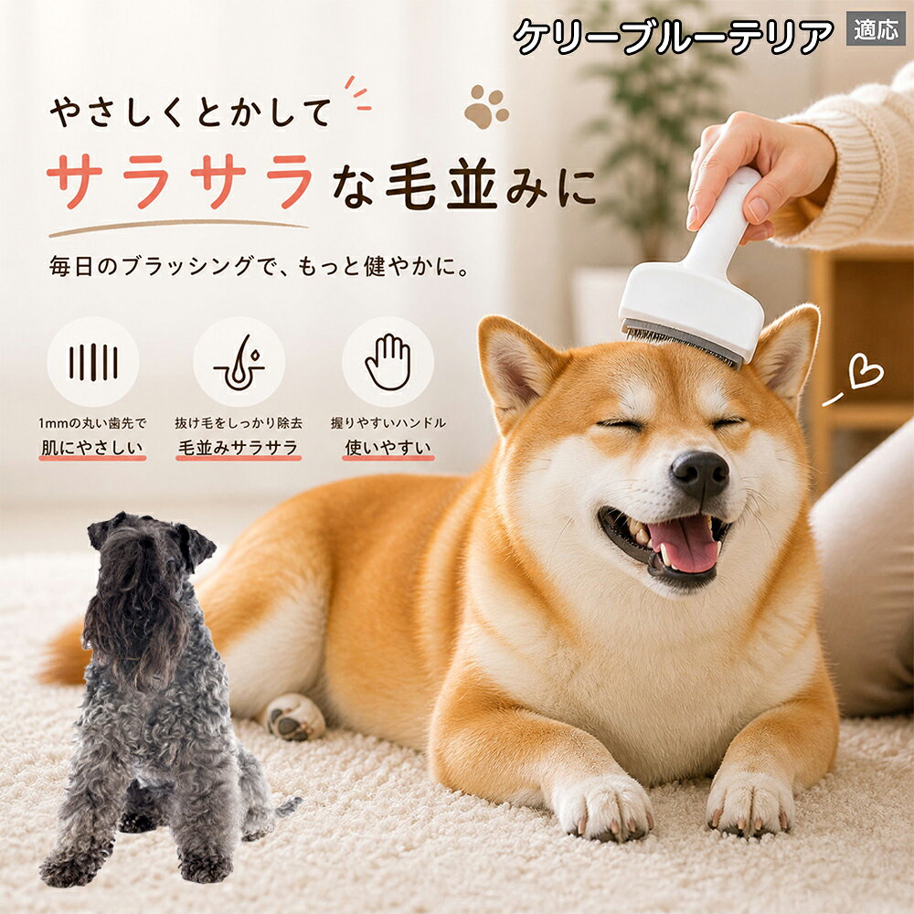 メンテナンスのしやすさにこだわりました。ブラシ部分に溜まった毛はサッと取り除け、水洗いで微細なホコリまでリセット可能。シンプルな構造ながら耐久性が高く、多頭飼いのご家庭でも長くご愛用いただける高品質なグルーミングツールです。 商品詳細 商品...