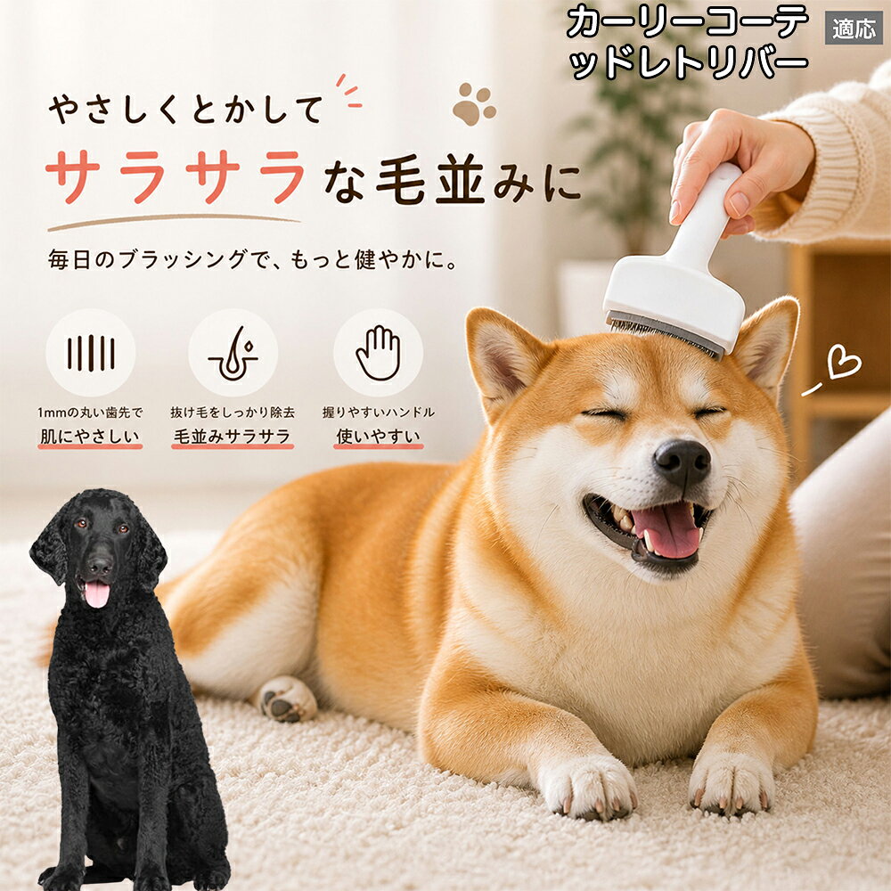 メンテナンスのしやすさにこだわりました。ブラシ部分に溜まった毛はサッと取り除け、水洗いで微細なホコリまでリセット可能。シンプルな構造ながら耐久性が高く、多頭飼いのご家庭でも長くご愛用いただける高品質なグルーミングツールです。 商品詳細 商品...