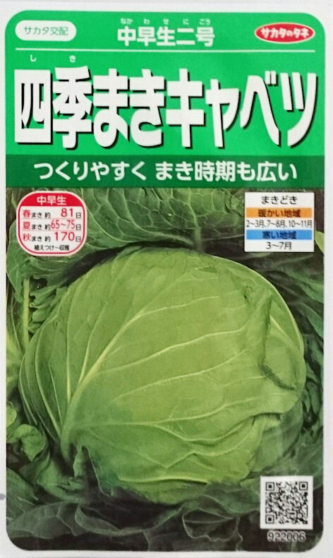 【特徴】●8月中旬〜9月を除いていつでもまけますが、とくに秋〜春まきにすぐれています。●球は1.5kgぐらいで偏円です。よくしまり、品質すぐれ、輸送性が高く、日もちがよいです。強健でよくそろい、病害にも強く、裂球遅く、つくりやすいです。【栽...